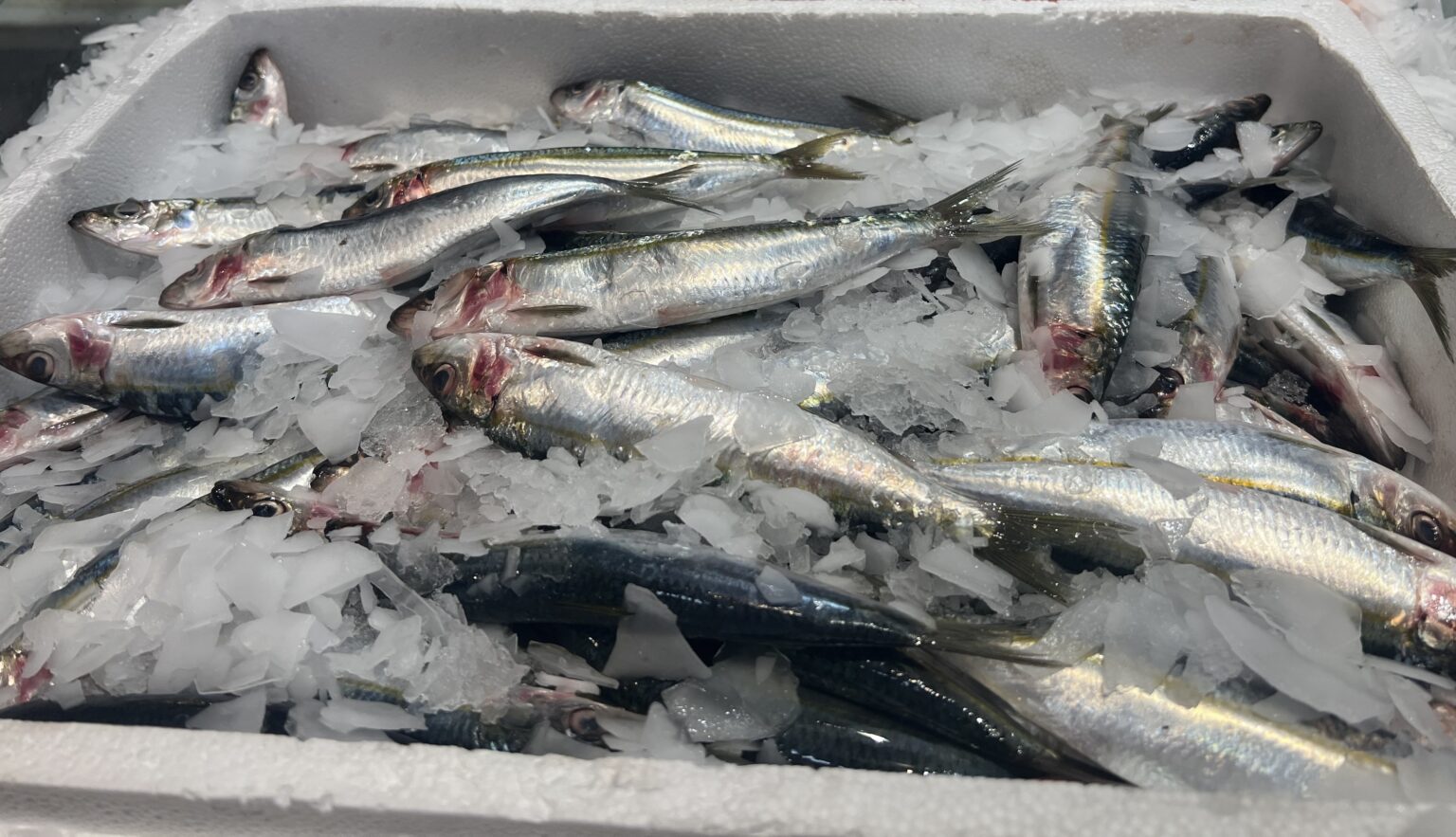 How to easily prepare fresh fish – Super Vero